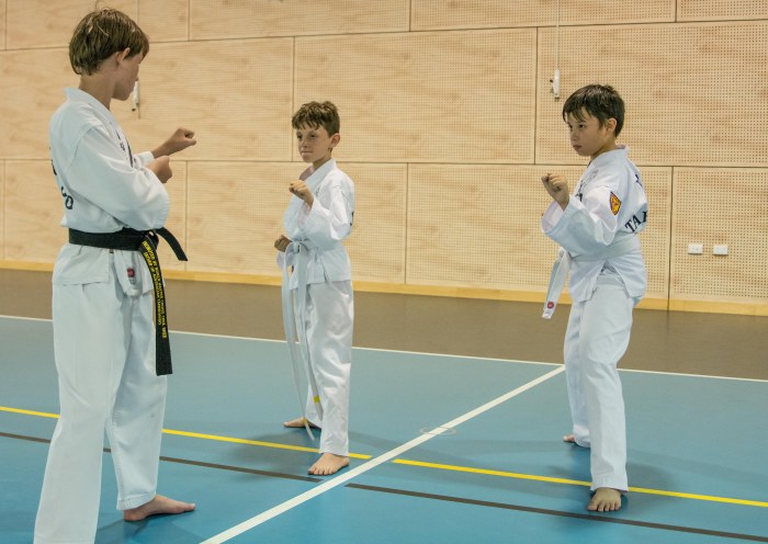 Master Instruction at the Highest Level – GOLDCOAST RHEE TAEKWONDO
